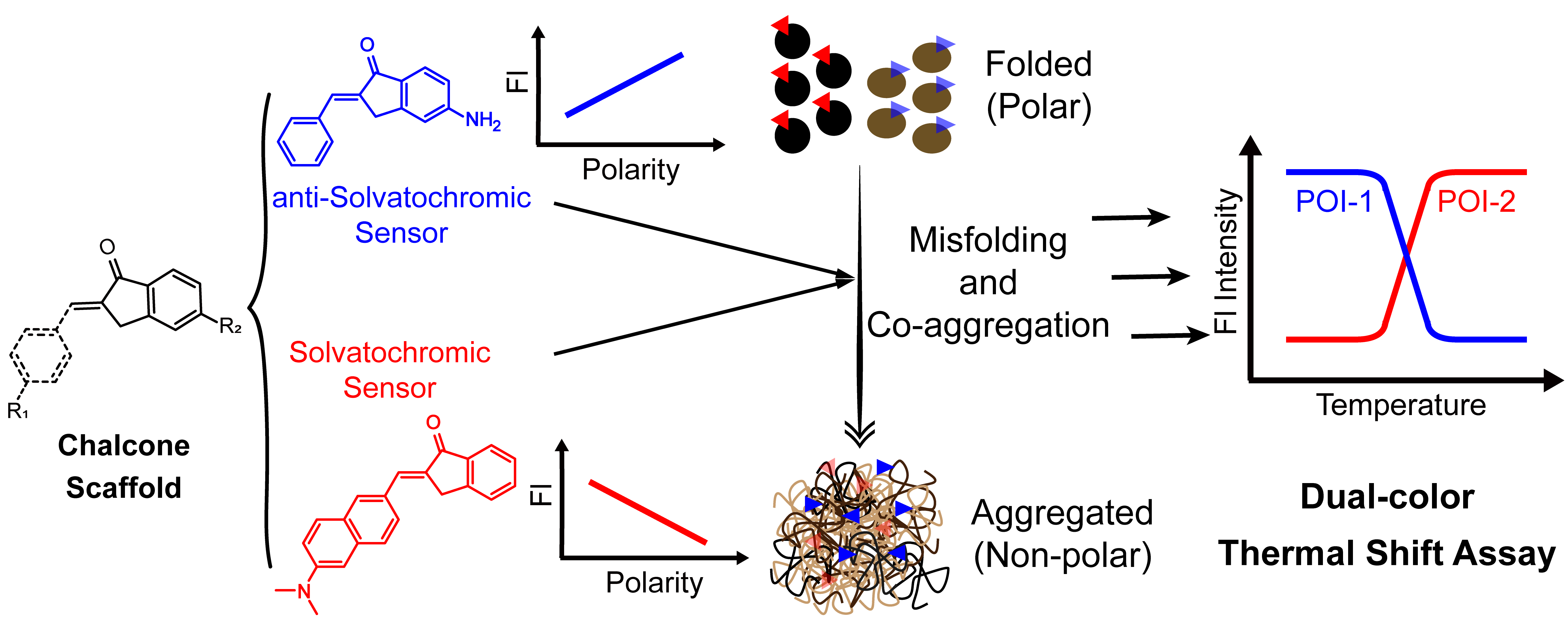 Publications-张鑫教授实验室